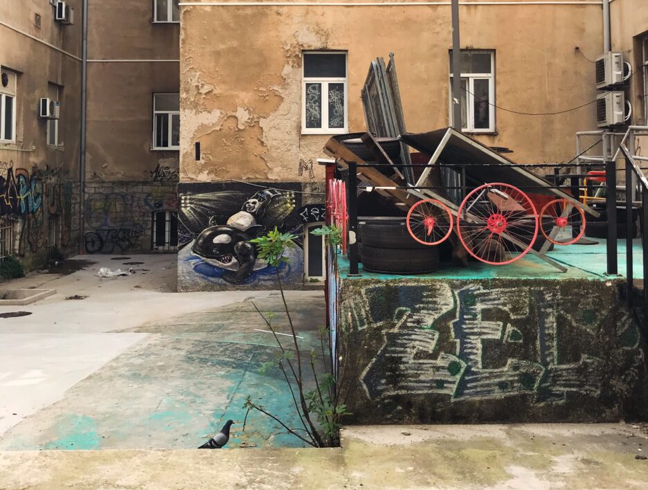 Rojc magazin – Armazonex – Radio Rojc Radio Rojc